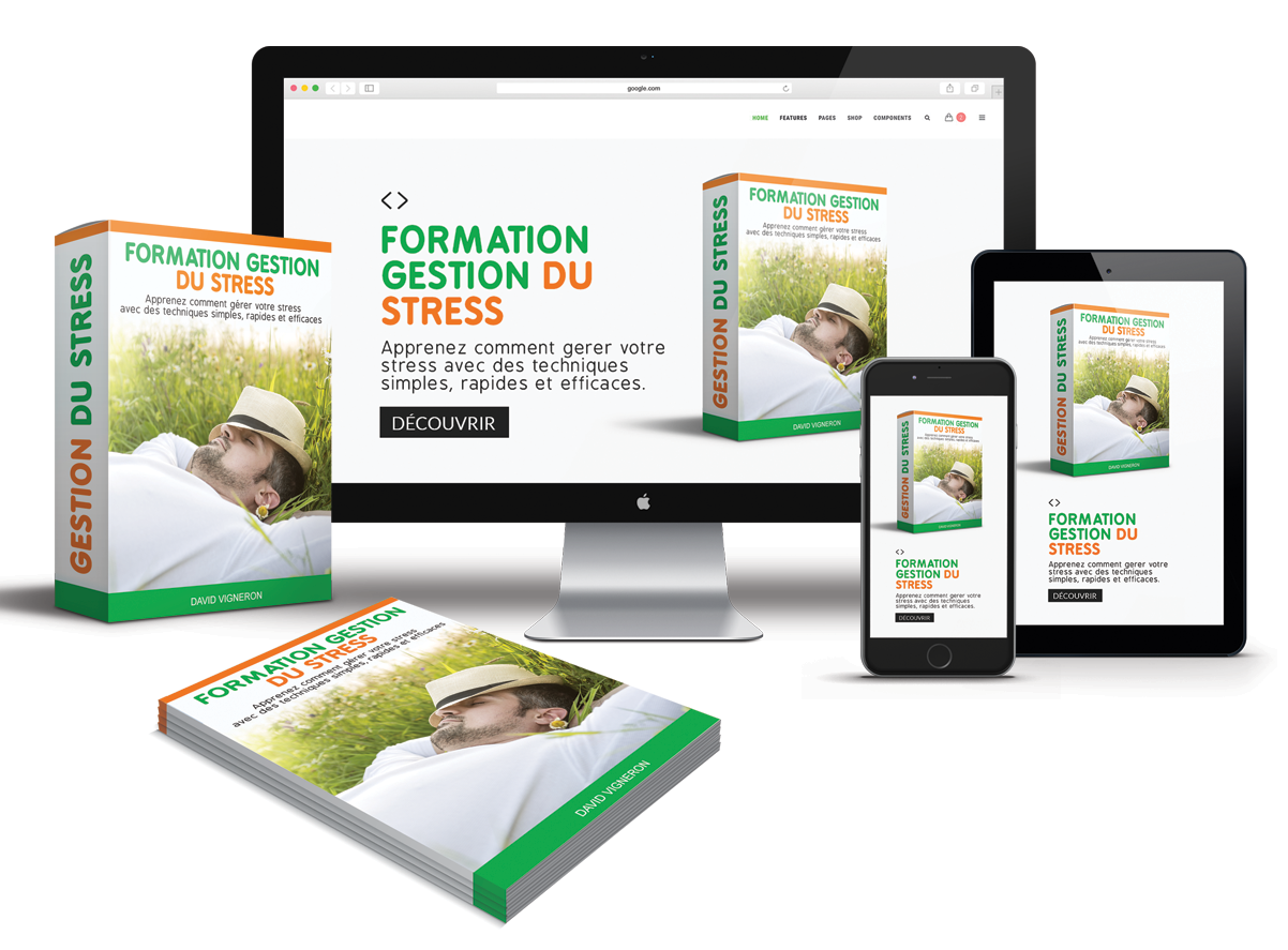 PROGRAMME FORMATION GESTION DU STRESS